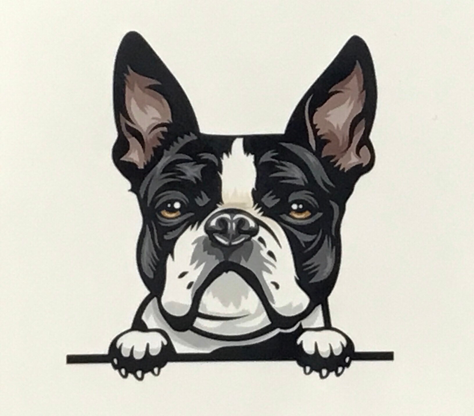 Boston Terrier Decal - Etsy
