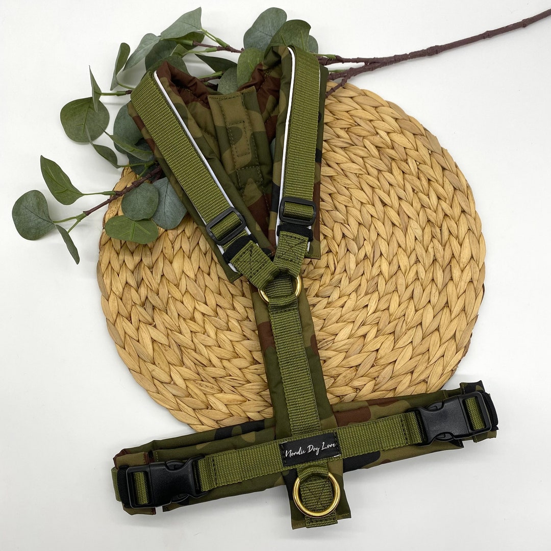 Lead Harness Dog Harness Y-harness Dog Harness in - Etsy