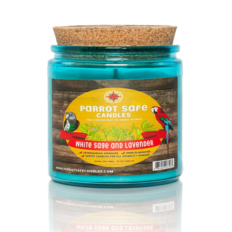 Bird Parrot Candle Holder - Etsy