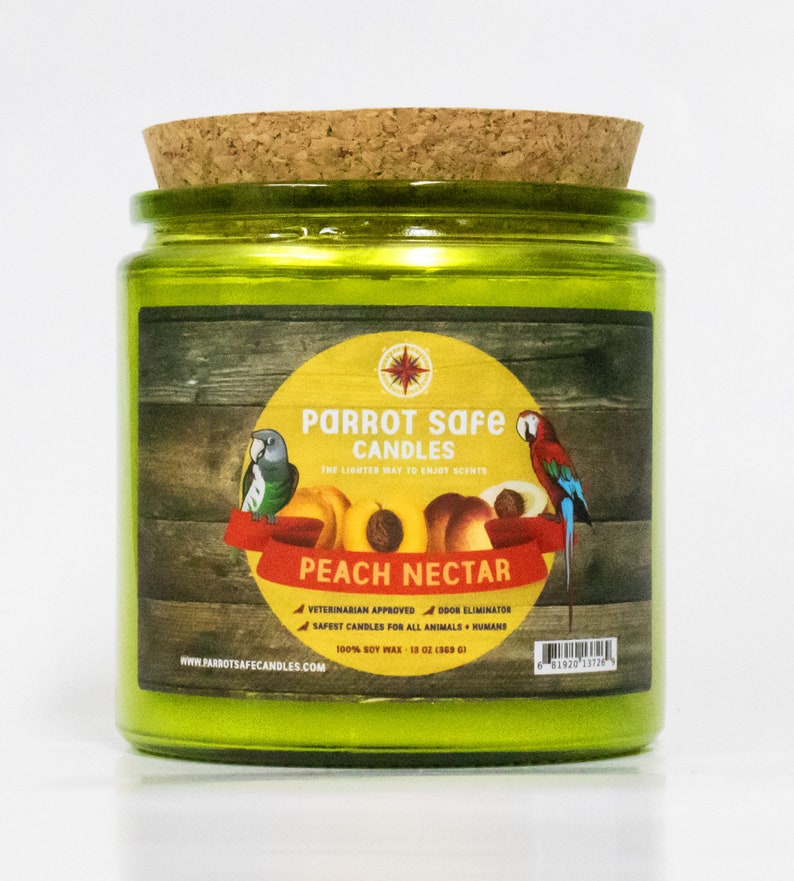 Peach Nectar Candle - Etsy