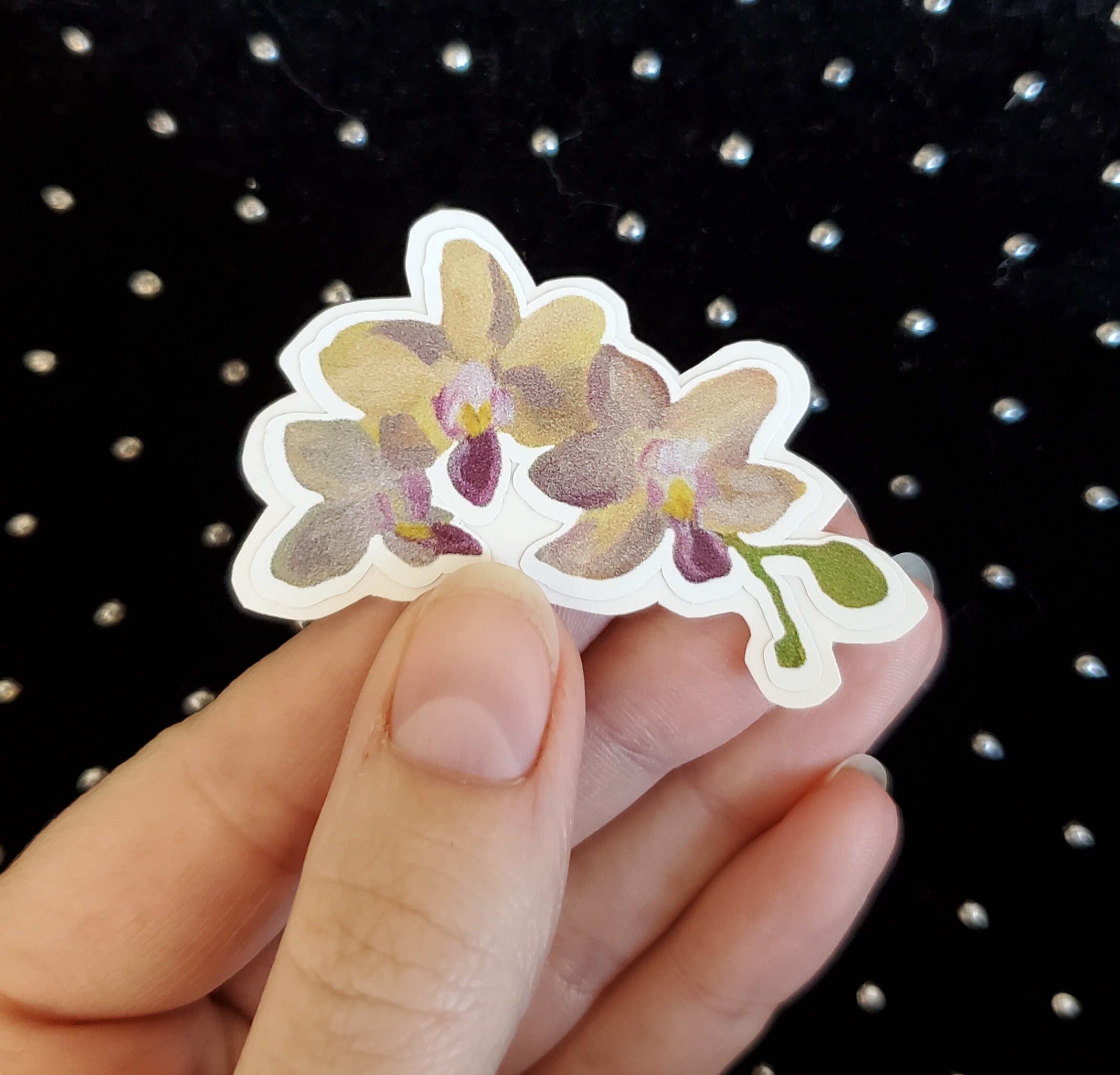 ORCHID PLANT vinyl sticker yellow mini phalaenopsis orchid | Etsy