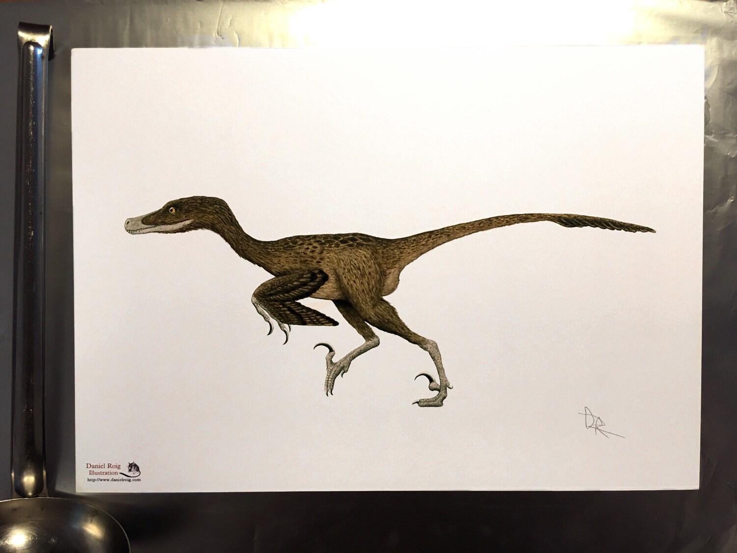 Velociraptor A4 - Etsy