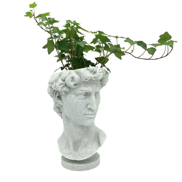 Bust Planter - Etsy