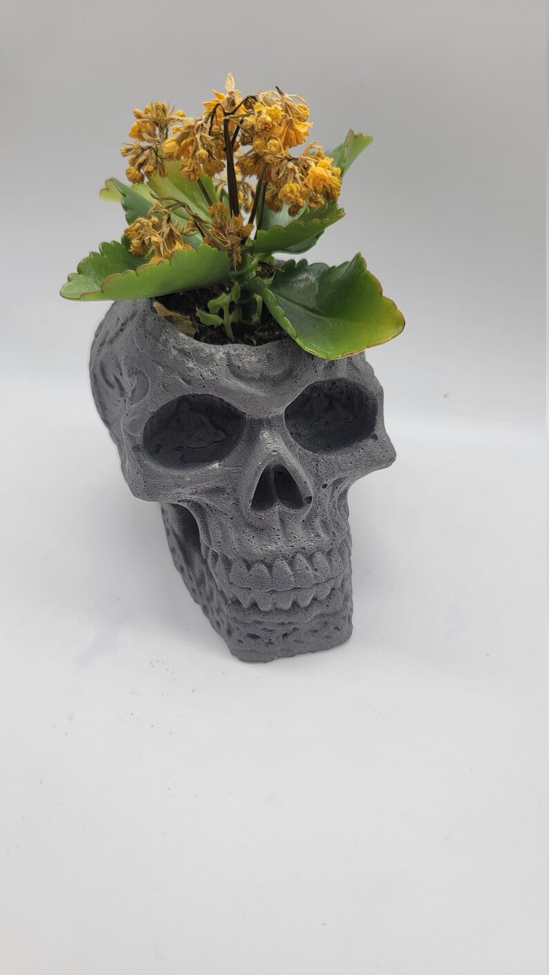 Skull Planter Skull Plant Pot Skull Succulent Planter - Etsy