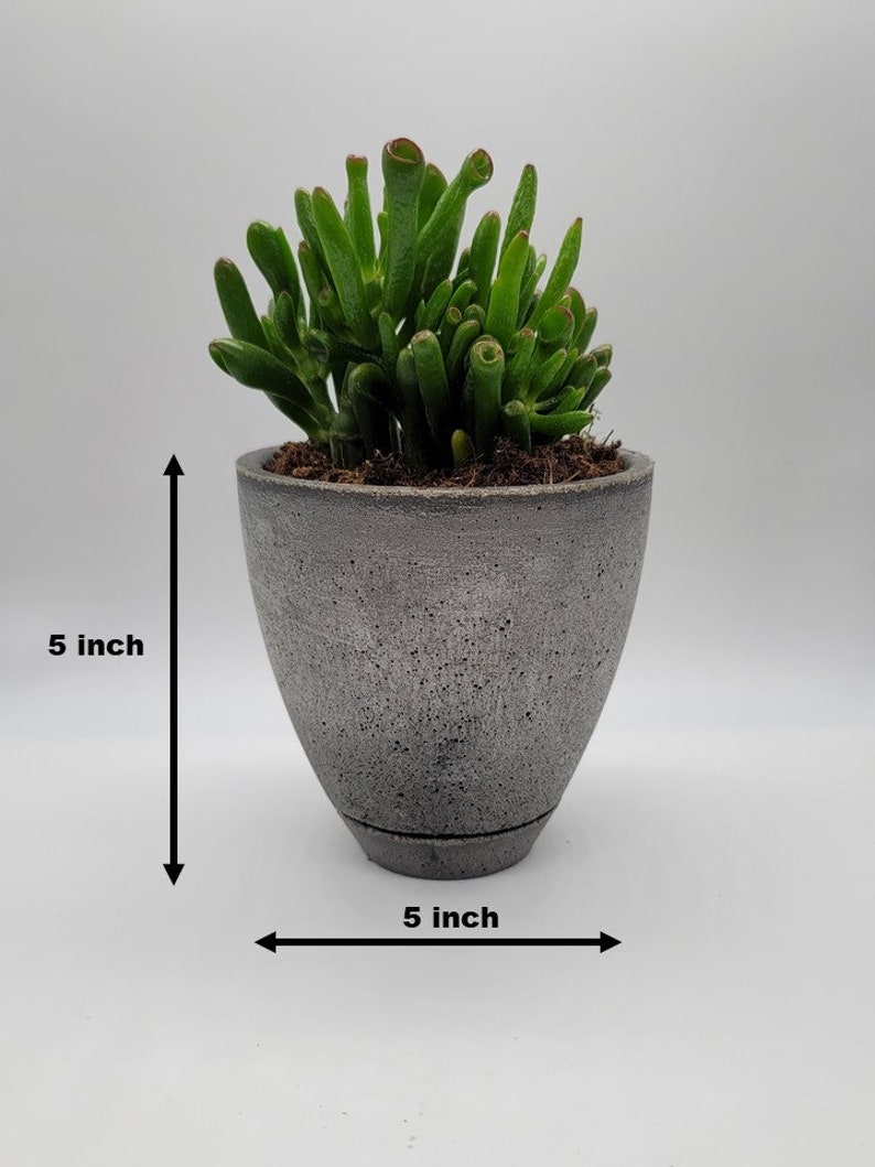 Modern 5-inch Cement Planter Pot With Drainage Hole and Saucer - Etsy