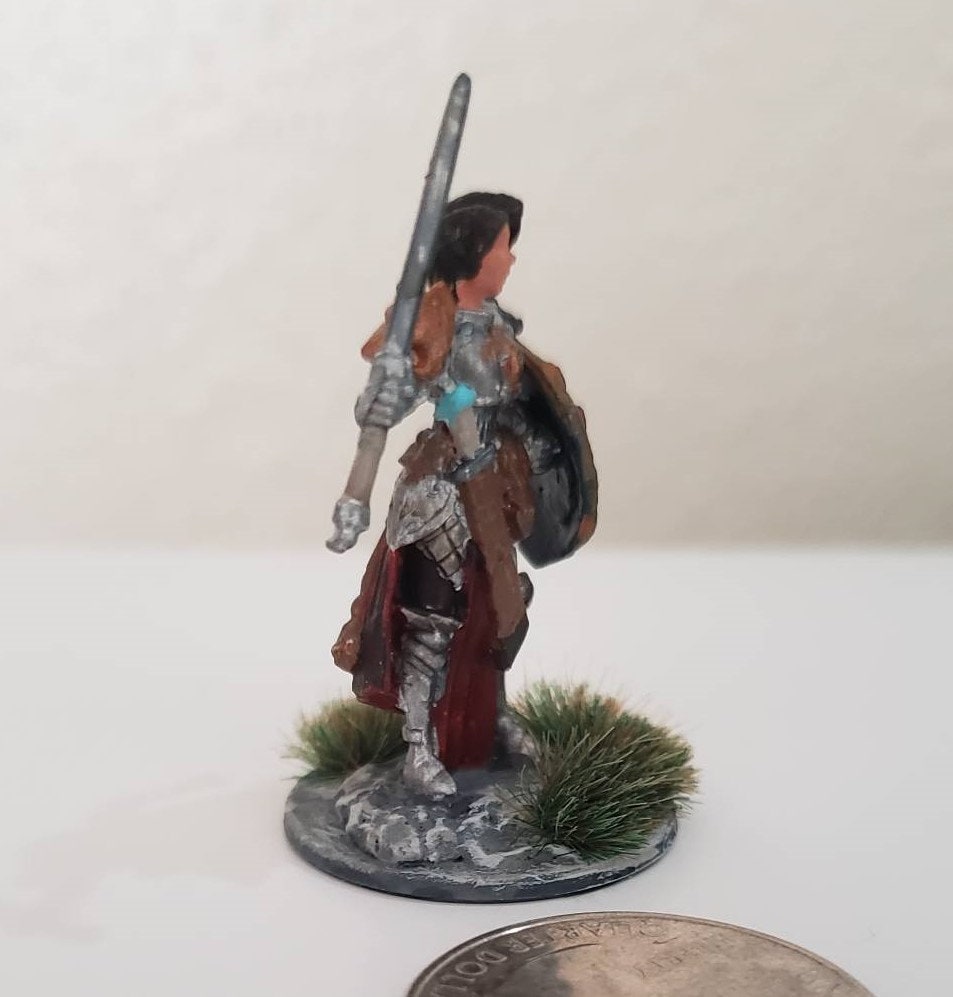 Trista the White Wolf Human Paladin - Etsy UK