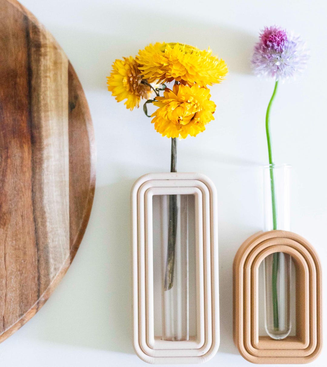 Propagation Vases, Plant and Flower Vases, Wall Planter, Indoor ...