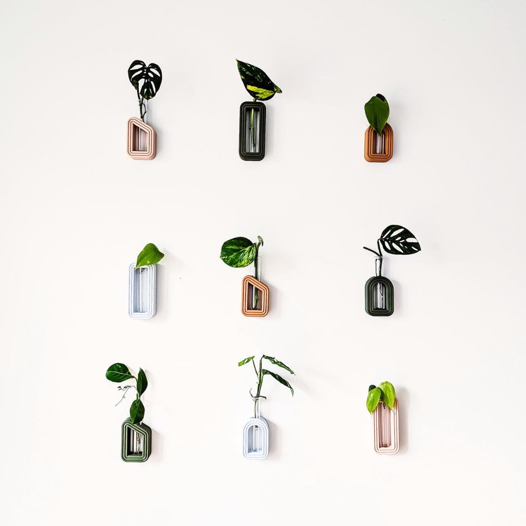Propagation Vases, Plant and Flower Vases, Wall Planter, Indoor ...