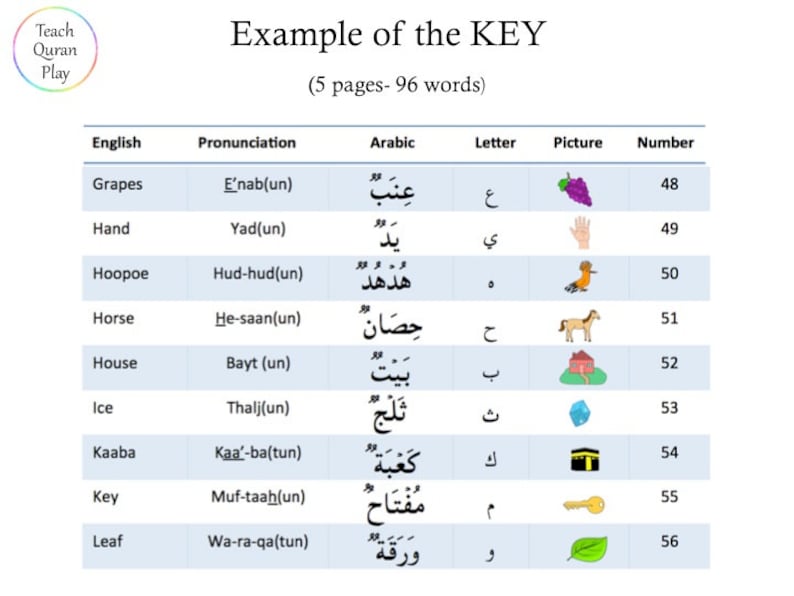 Beginning Letter Sounds Phonemes Arabic Learning Alphabet | Etsy