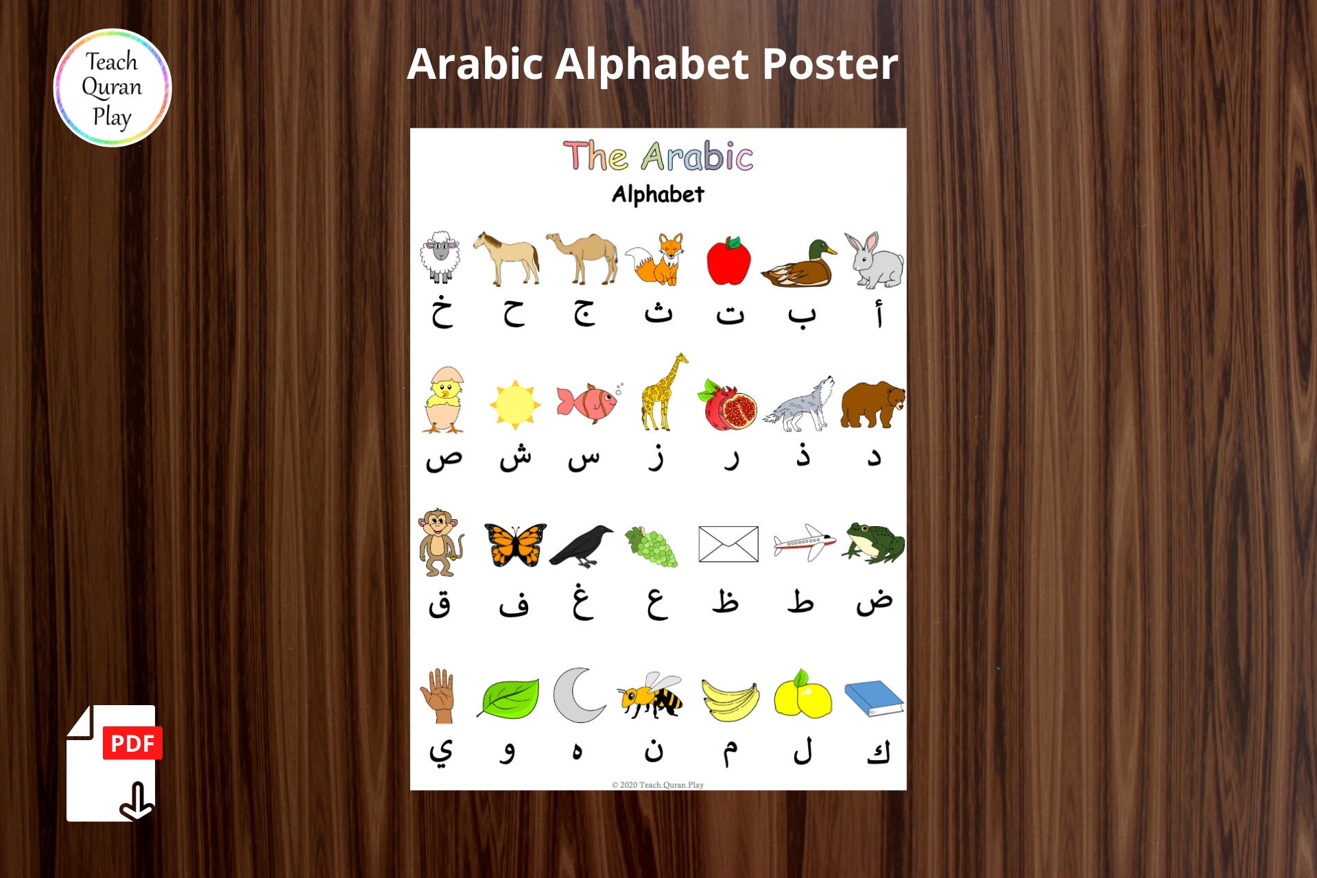 L1 Arabic Alphabet Poster Phonics Beginning Letter Sounds - Etsy