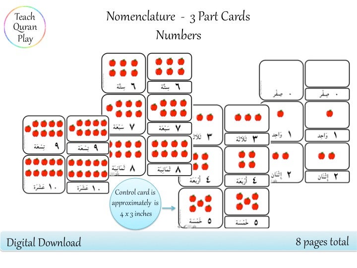 Numbers 3 Part Wheel and Flashcards---------digital PDF - Etsy