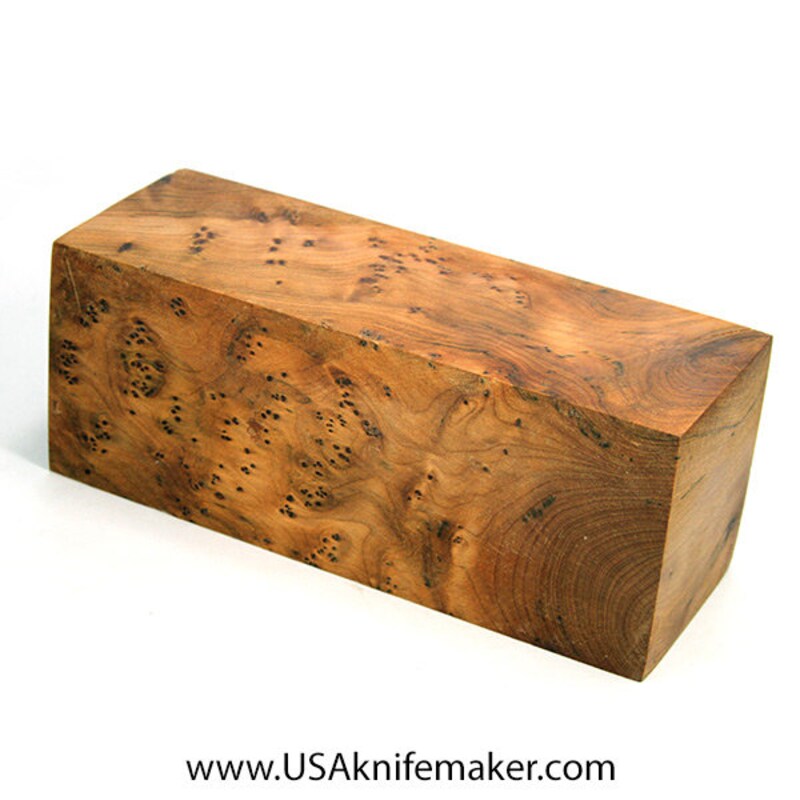 Burl Blank - Etsy