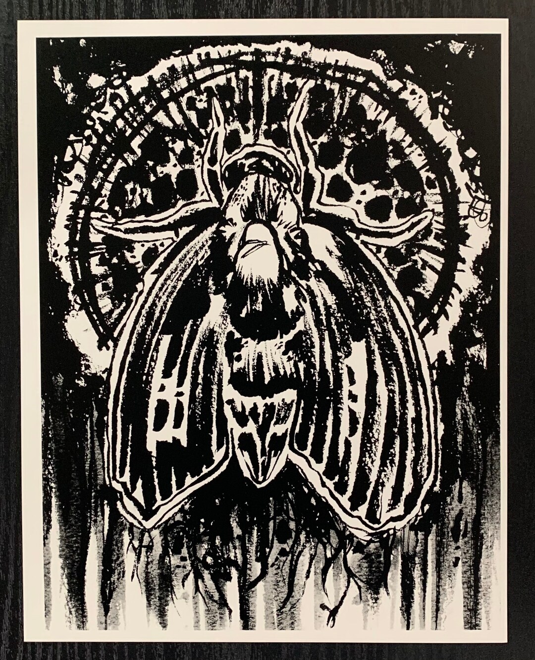 Art Print- "moth" - Etsy
