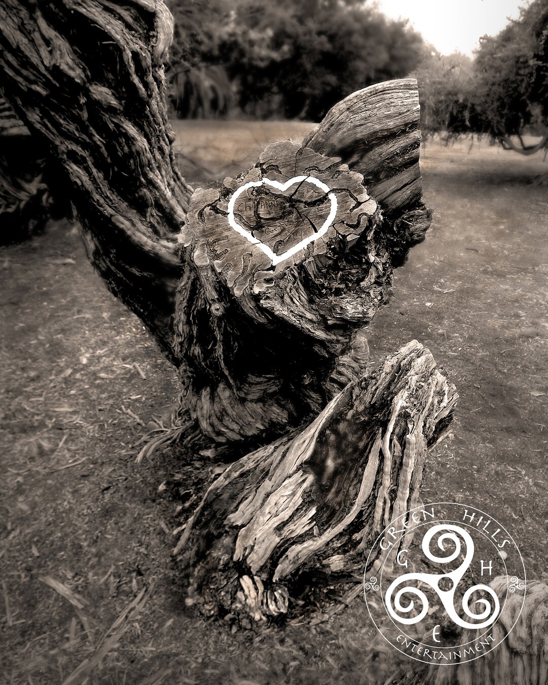 Heart Tree / Black and White Photography / Nature Wall Decor / DIY Art ...