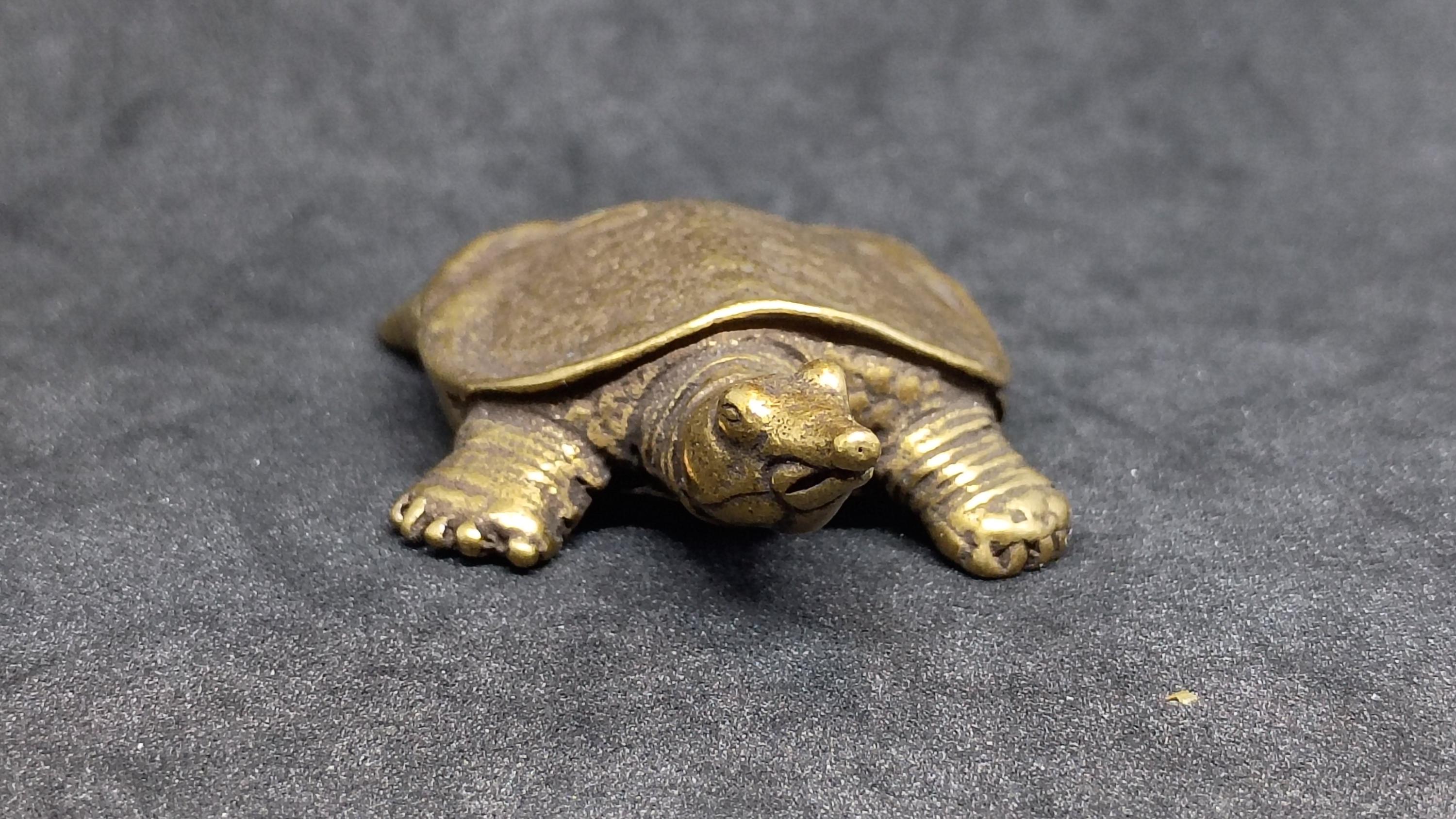 Turtle Softshell Brass Figurine - Etsy