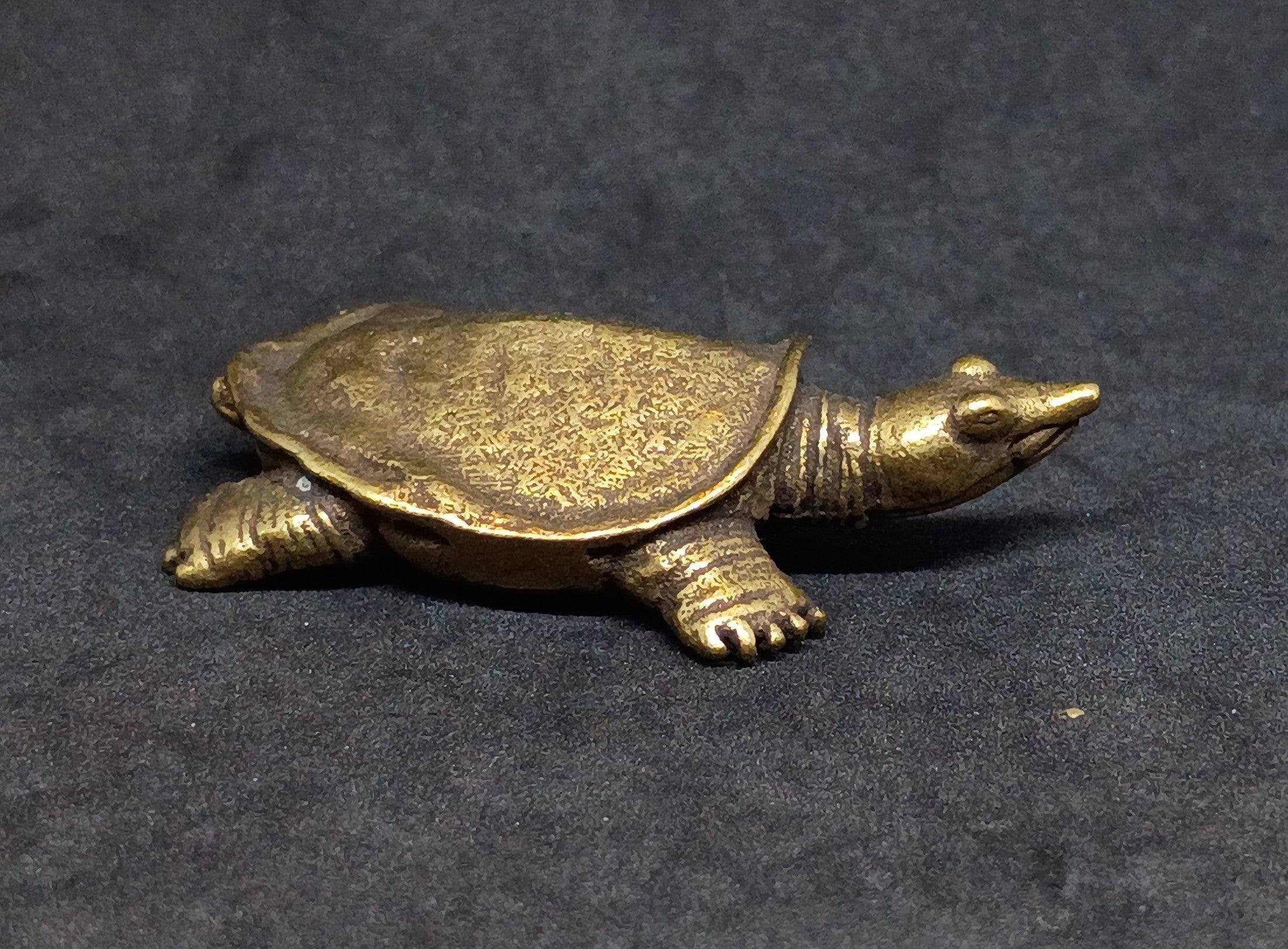 Turtle Softshell Brass Figurine - Etsy