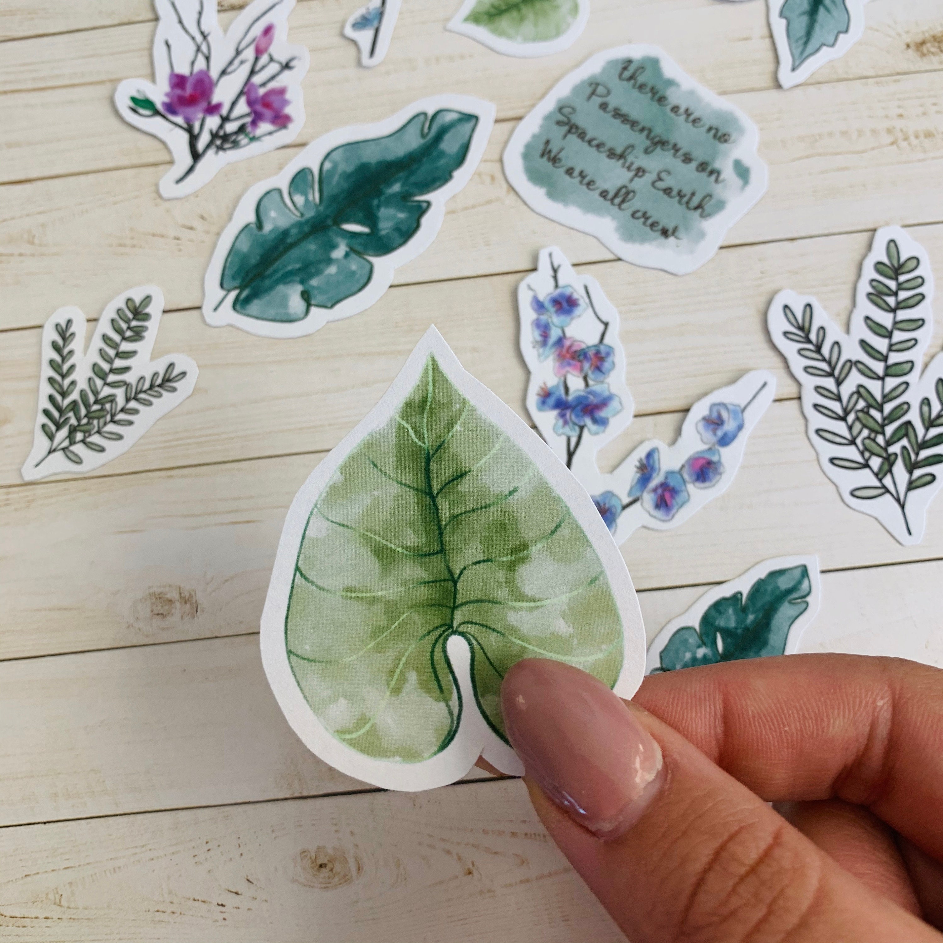 Cute Plant and Leaf Stickers for Green Lovers - Etsy