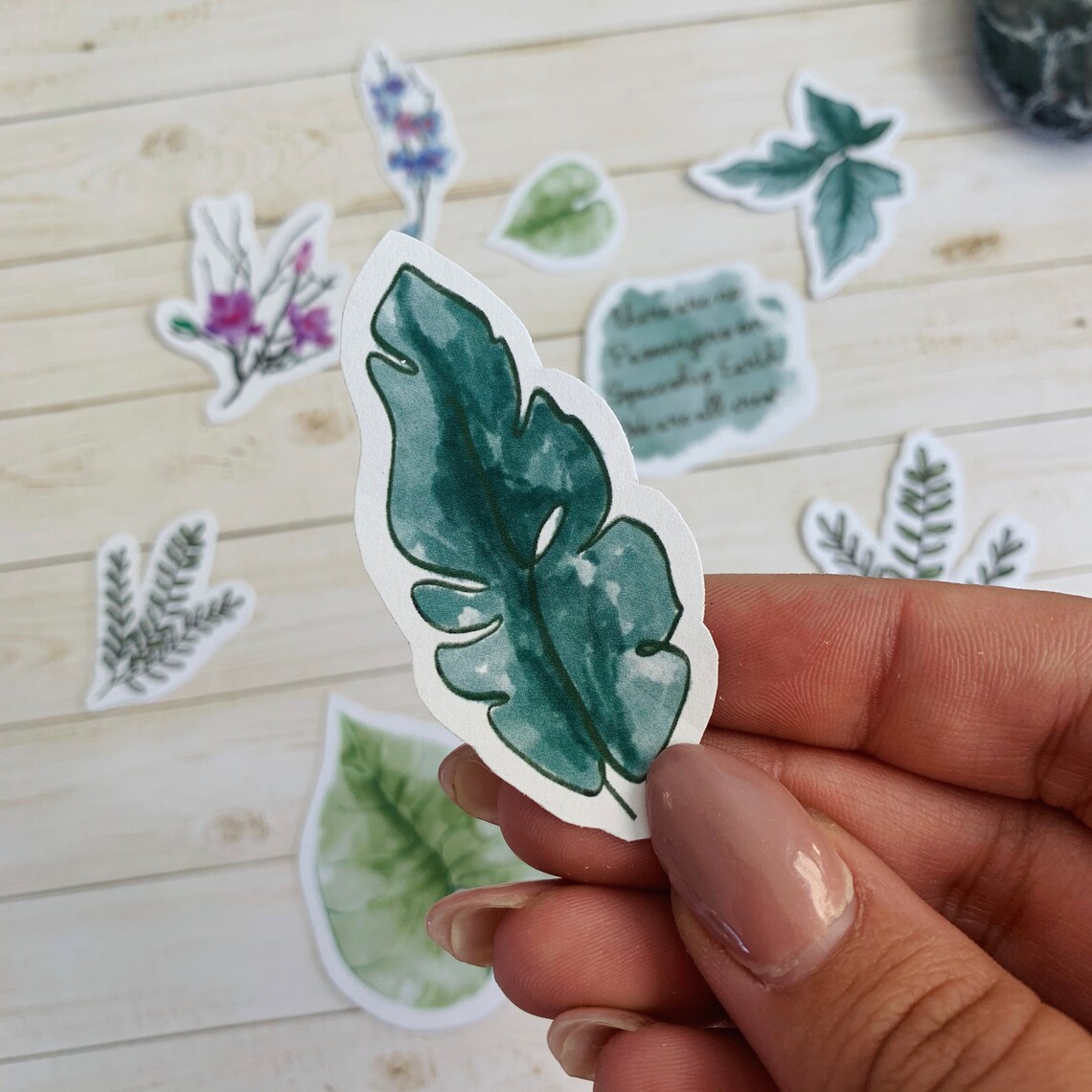 Cute Plant and Leaf Stickers for Green Lovers - Etsy