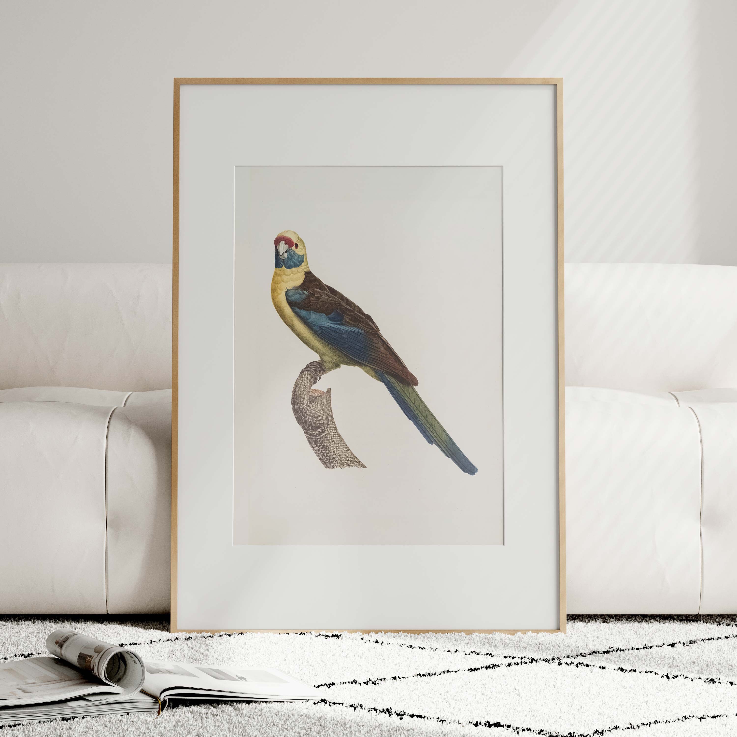 Parrot Poster Parakeet Digital Wall Art Bird Poster Wall Decor - Etsy