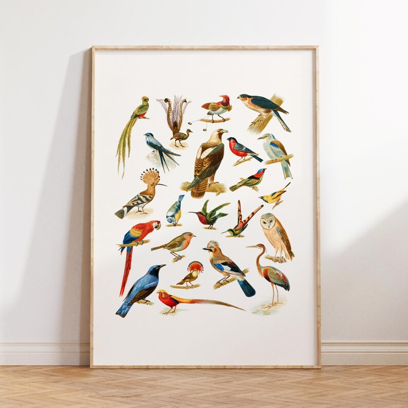 Audobon Bird Prints Vintage Poster Bird Digital Wall Art Bird Poster ...