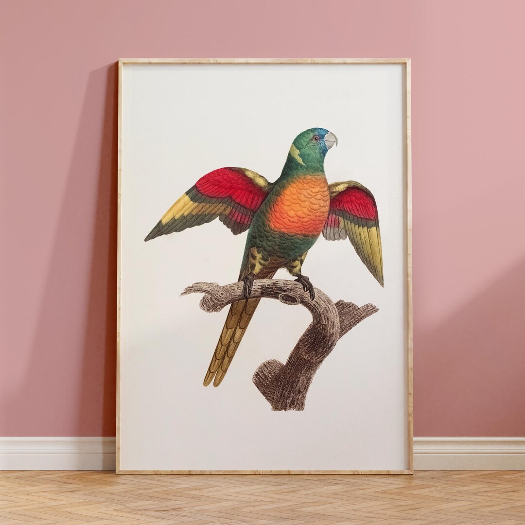Parrot Poster Bird Print Pparakeet Art Living Room Poster Parrot Art ...