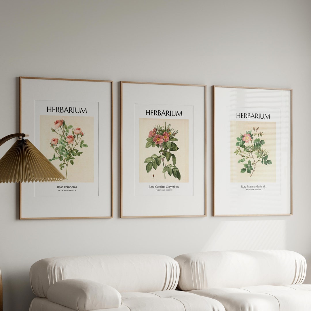3 Piece Wall Art Rose Print Rose Poster Antique Flower Print Vintage ...
