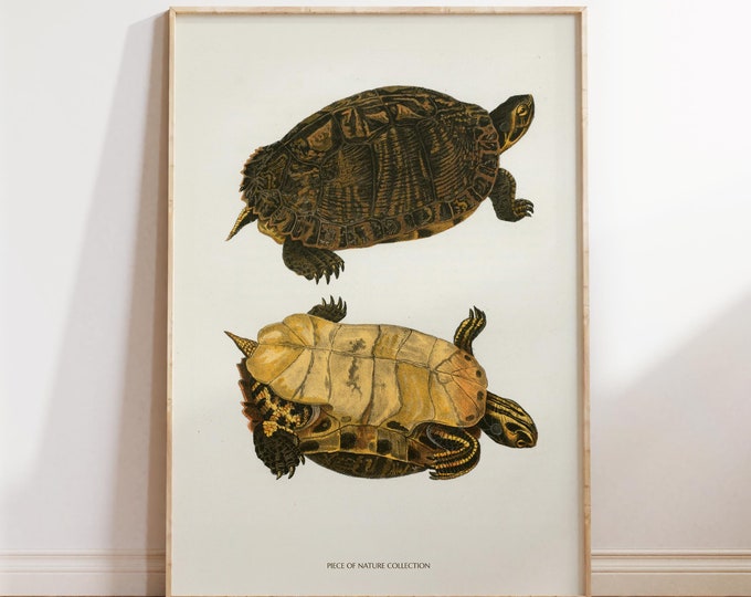 Sea Turtle Print Vintage Turtle Poster Art Coastal Wall Art Sea Turtle ...