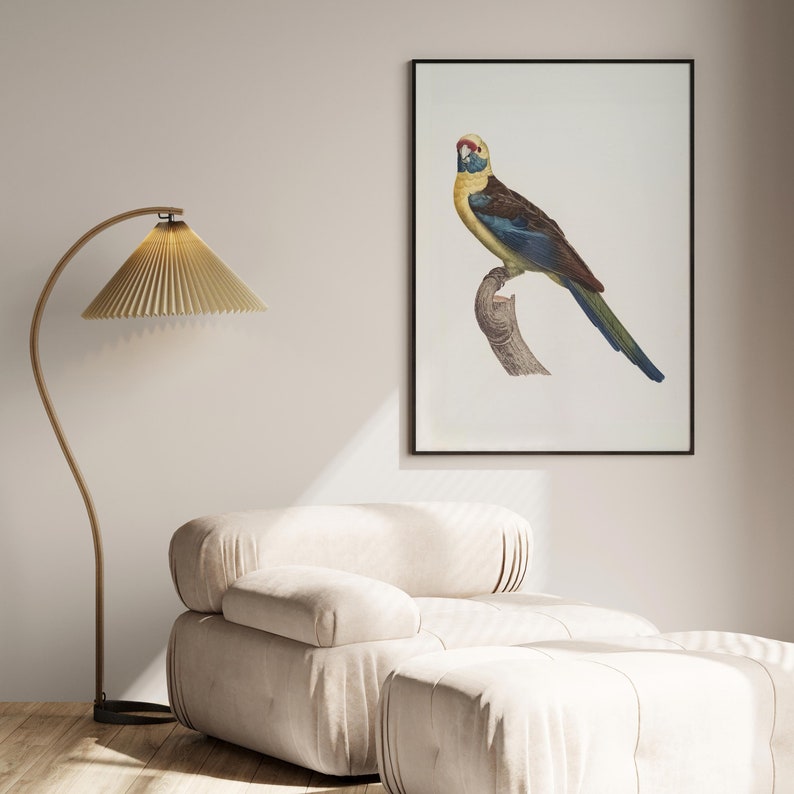 Parrot Poster Parakeet Digital Wall Art Bird Poster Wall Decor Over the ...