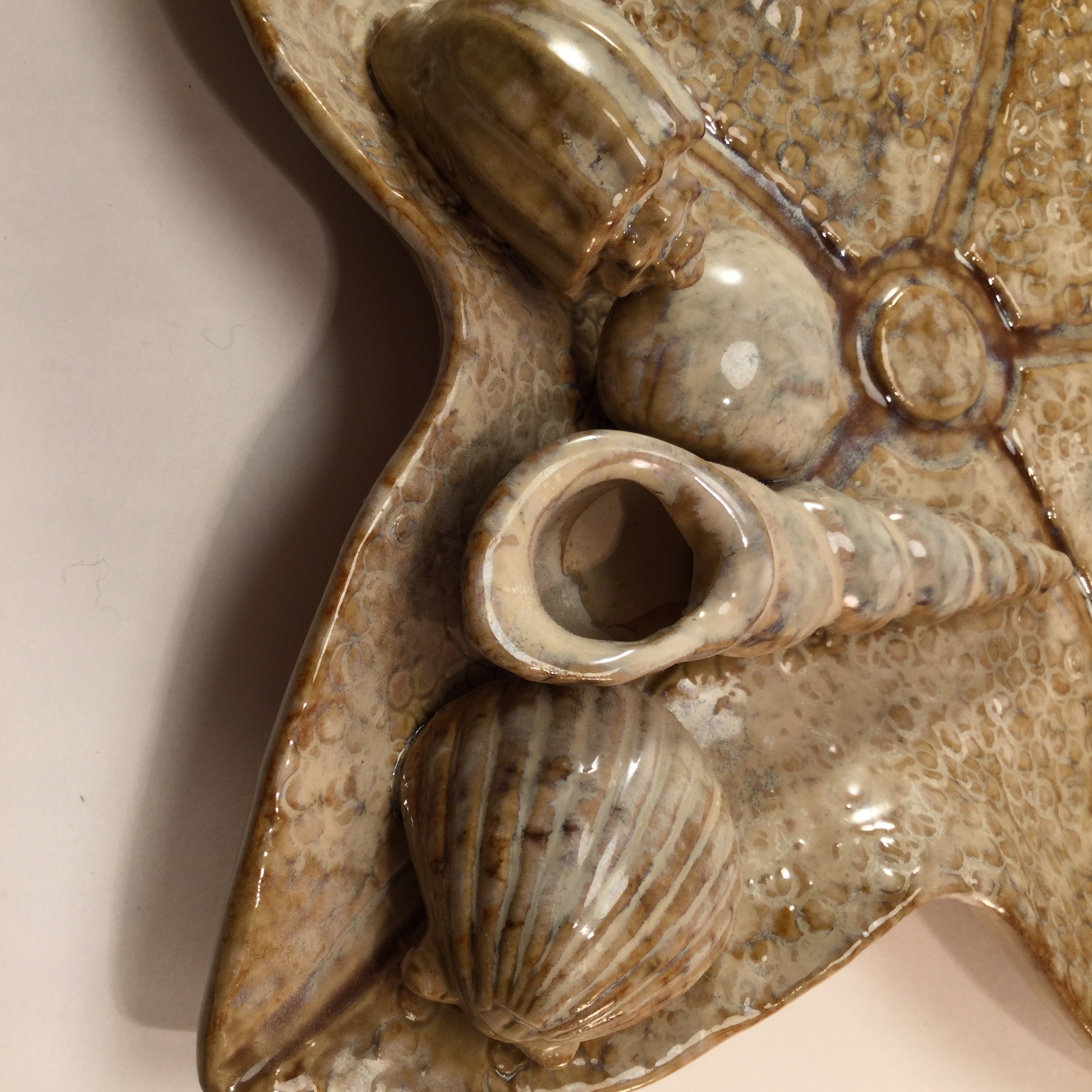 Starfish Seashell Clay Sculpture | Etsy