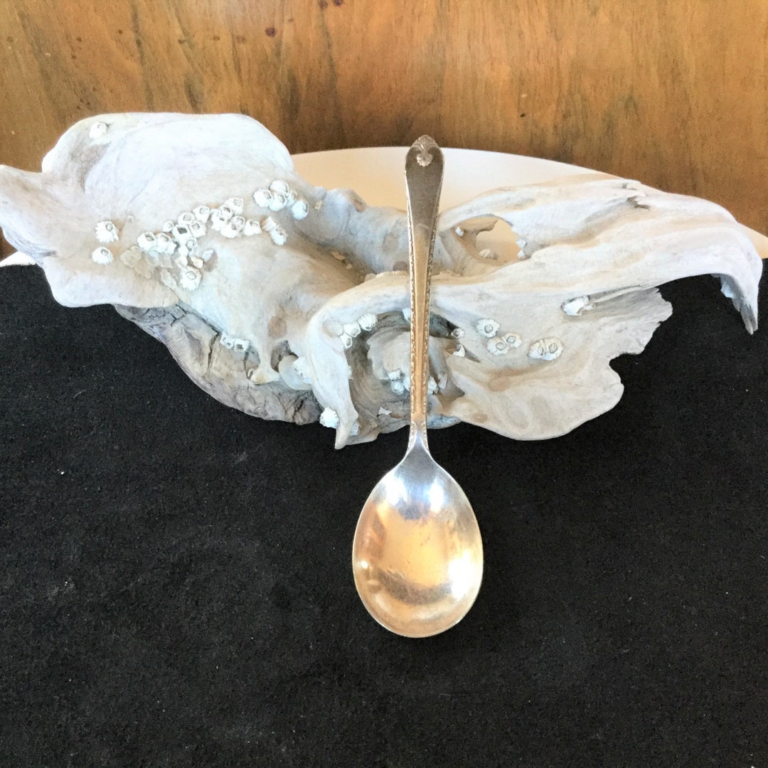 Wm Rogers & Sons "exquisite" Silverplate Sugar Spoon - Etsy