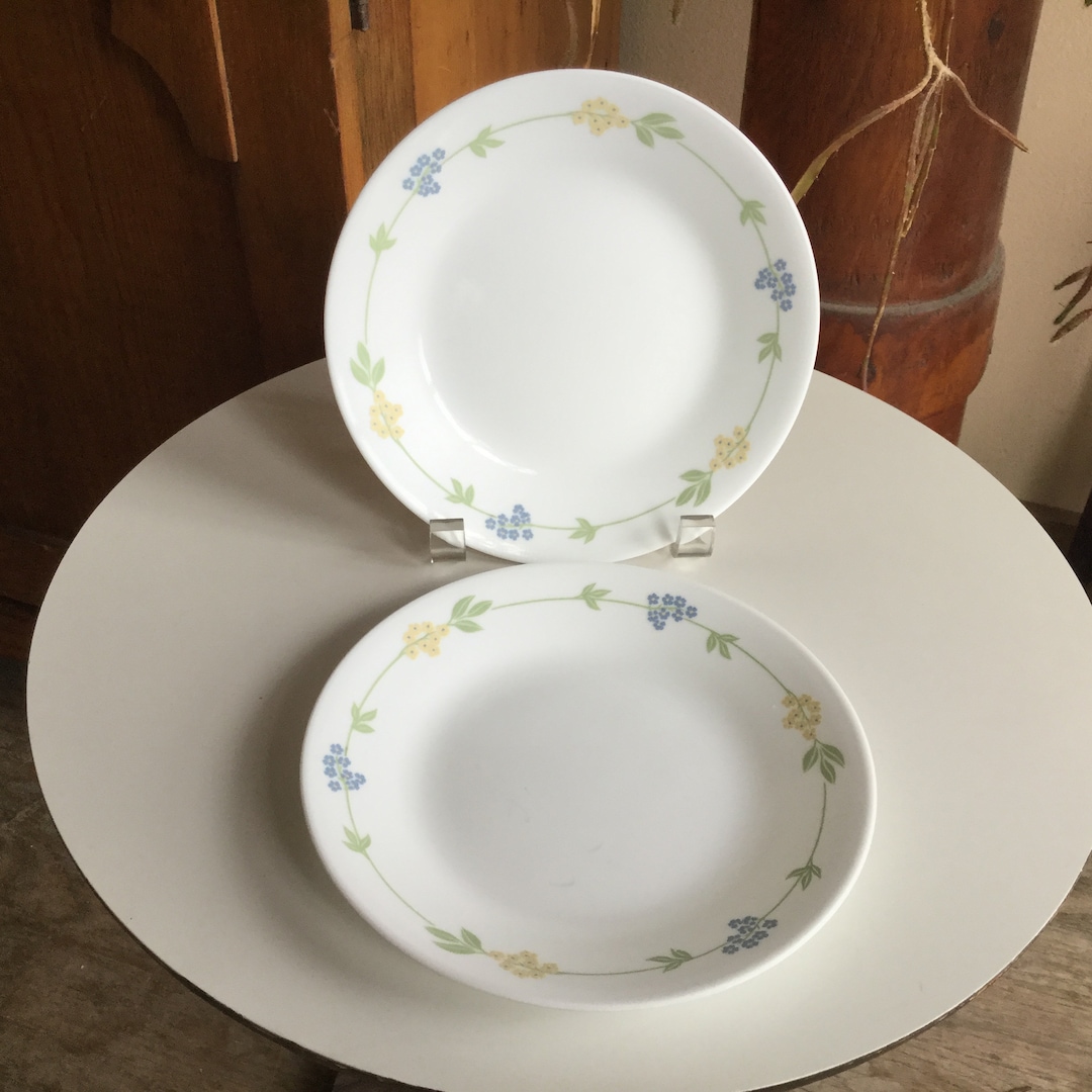 Set/2 Corelle "secret Garden" Bread and Butter Plates - Etsy