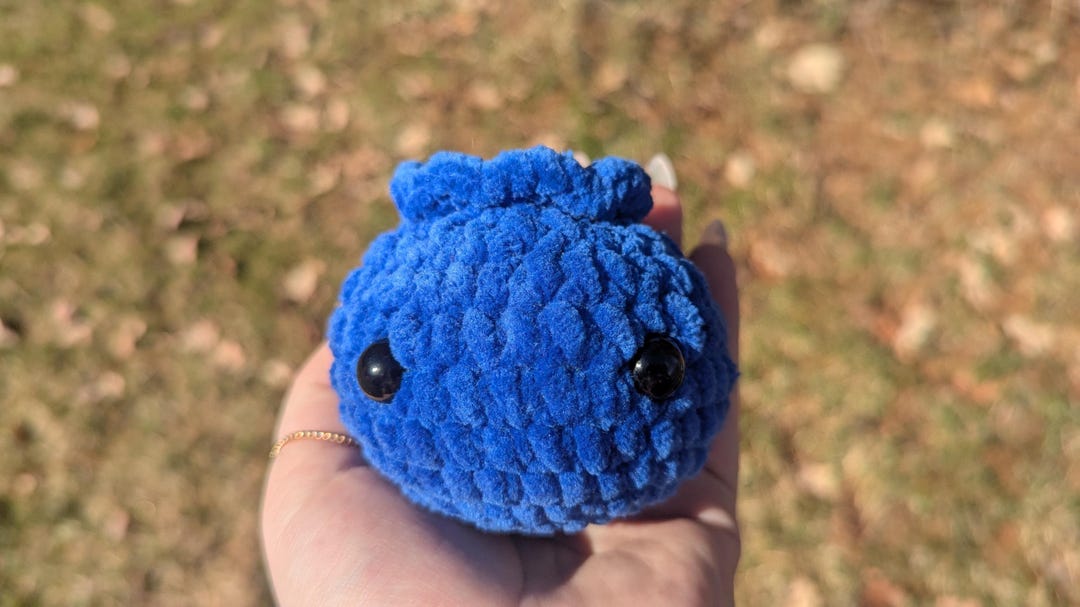 George or Georgina Crochet Blueberry - Etsy