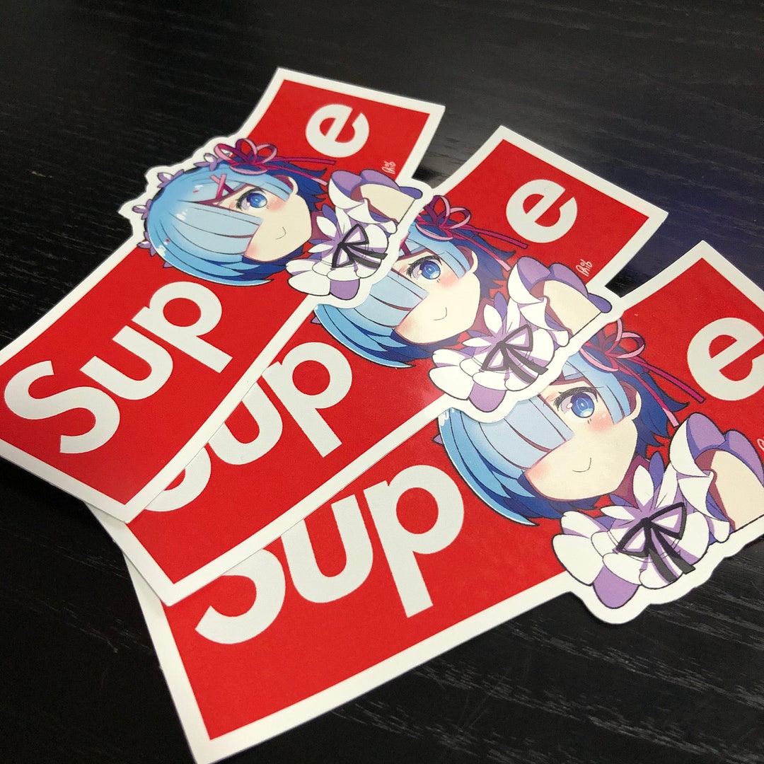 REZERO - Rem Vinyl Stickers 5" (multiple) - Etsy
