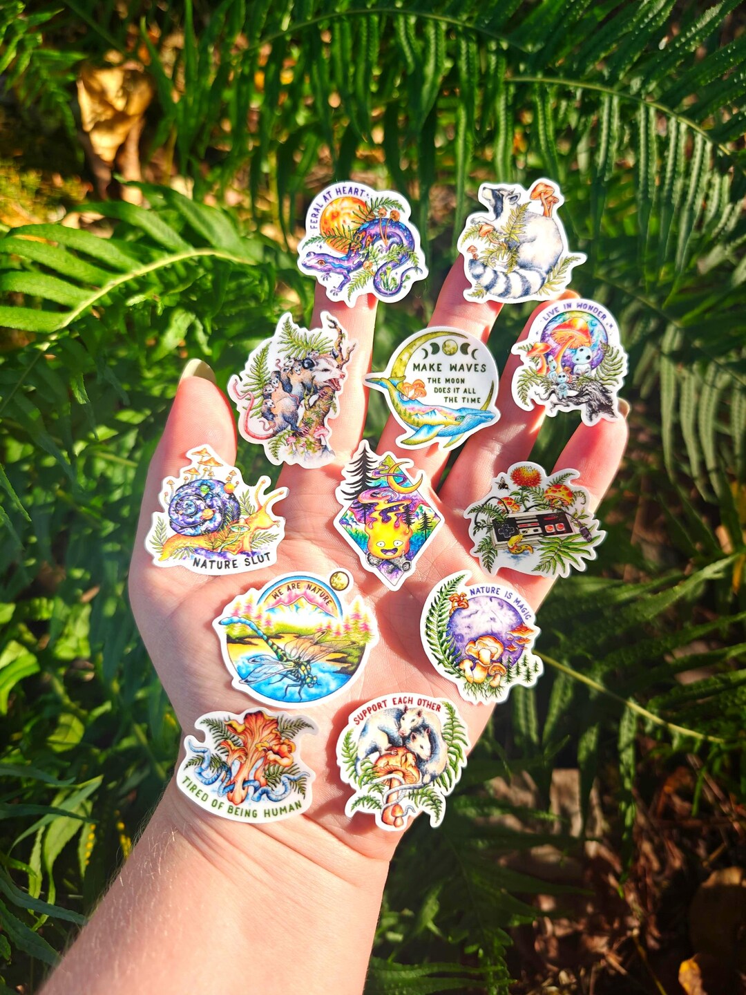 Creature Collection Mini Vinyl Stickers Native PNW Wildlife Nature ...