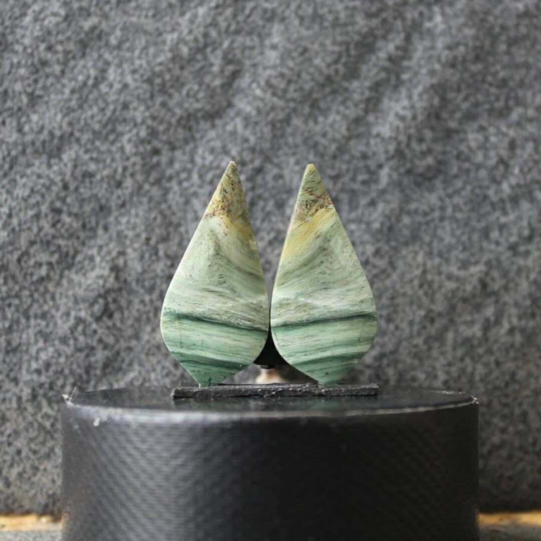 Green Opalized Wood Pair - Etsy