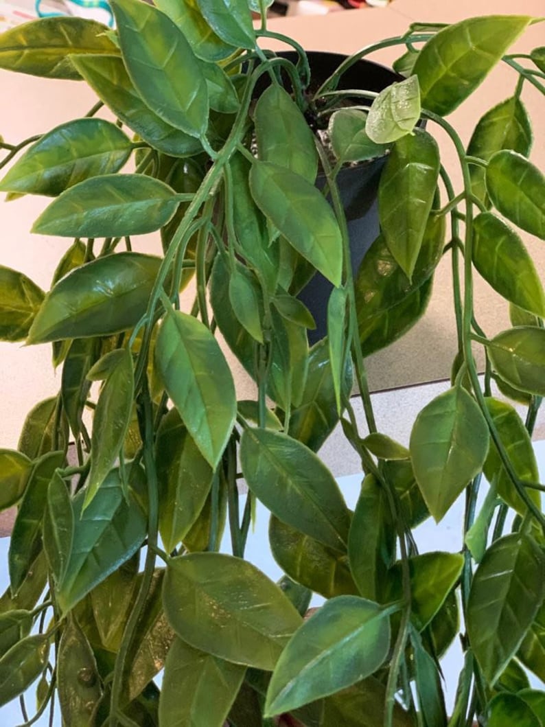 Small Hanging Plant Fake Plants Decor Artificial Trailing - Etsy
