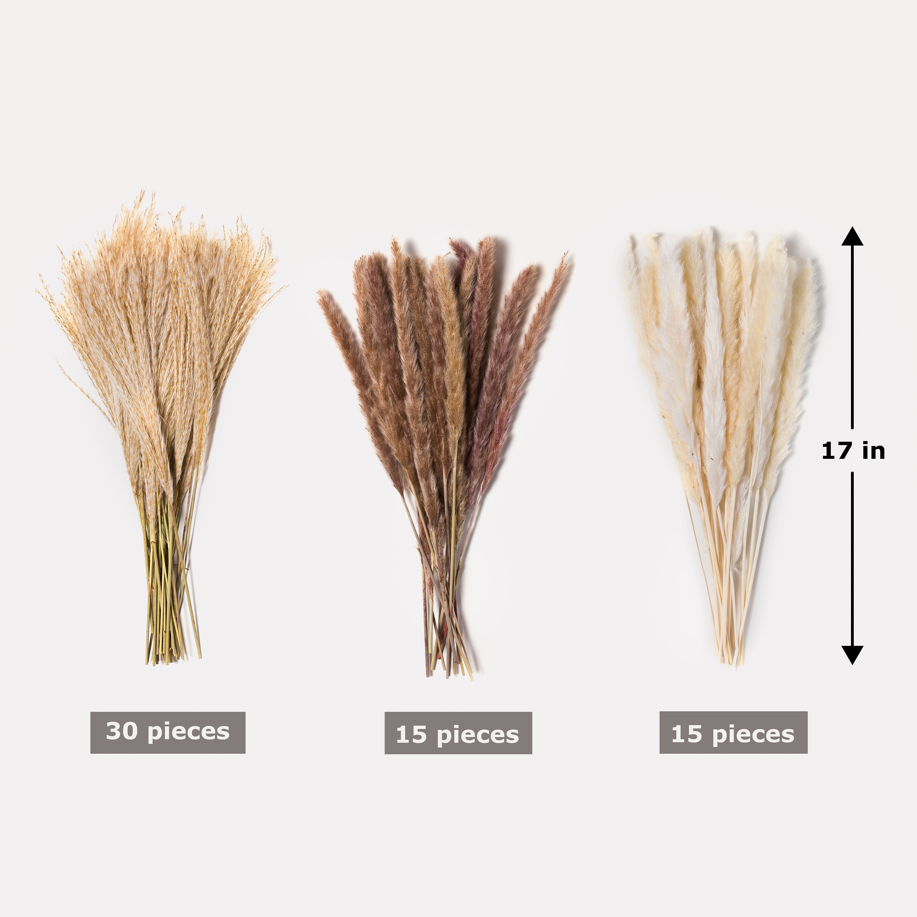 60pc Pampas Grass Arrangement, Dried Flower Bouquet Bridesmaid Large ...