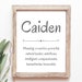 Caiden Baby Name Meaning Baby Names Nursery Sign Boy Names Printables ...