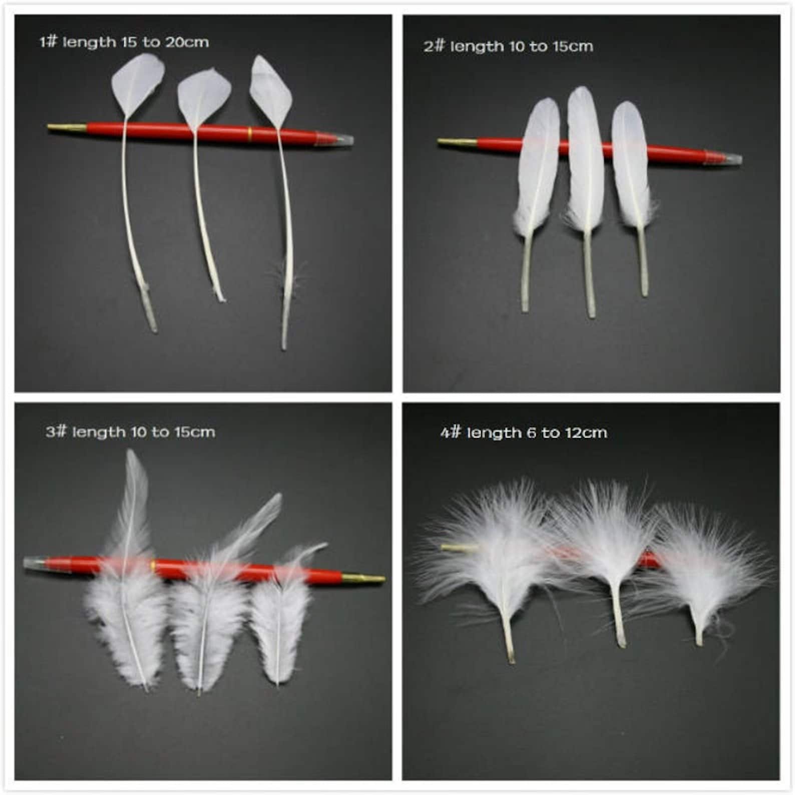 White Feathers, Natural Feathers, Real Feathers, Craft Feathers, Pretty ...