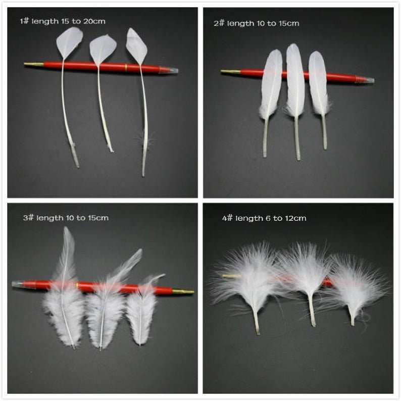 White Feathers, Natural Feathers, Real Feathers, Craft Feathers, Pretty ...