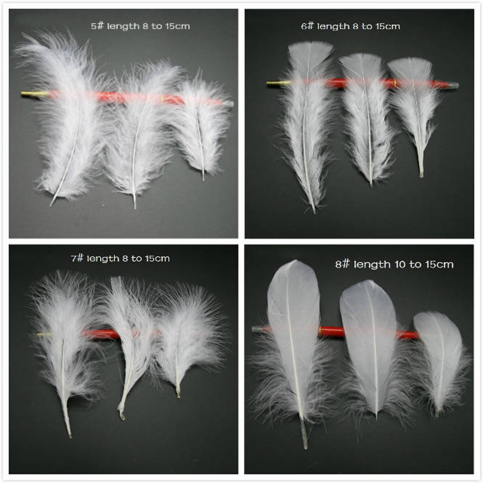 White Feathers, Natural Feathers, Real Feathers, Craft Feathers, Pretty ...