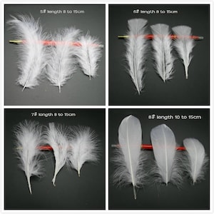 White Feathers, Natural Feathers, Real Feathers, Craft Feathers, Pretty ...