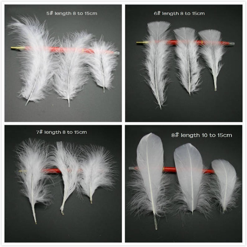 White Feathers, Natural Feathers, Real Feathers, Craft Feathers, Pretty ...