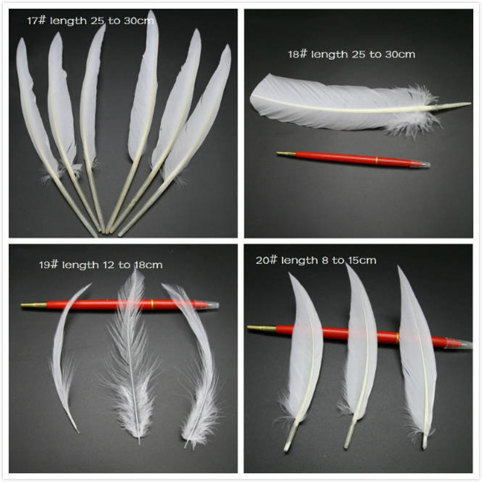 White Feathers, Natural Feathers, Real Feathers, Craft Feathers, Pretty ...