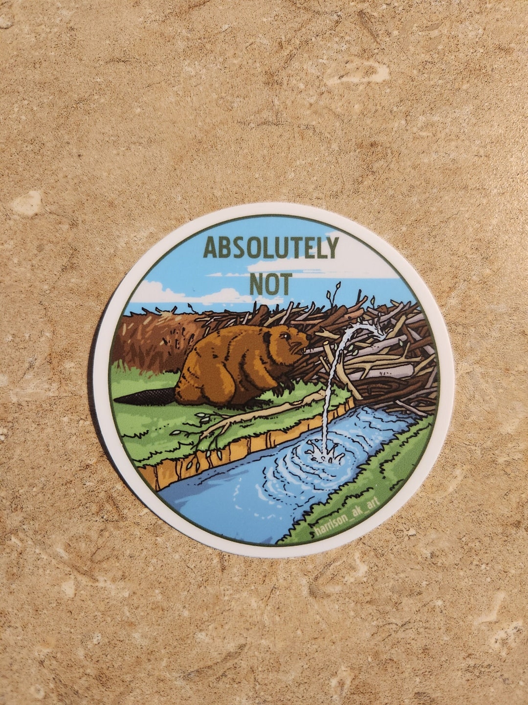 Absolutely Not 3'' Vinyl Sticker - Etsy