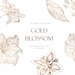 Golden Flowers Clip Art - Gold Foil Line Art - Hand Drawn Flower Line ...