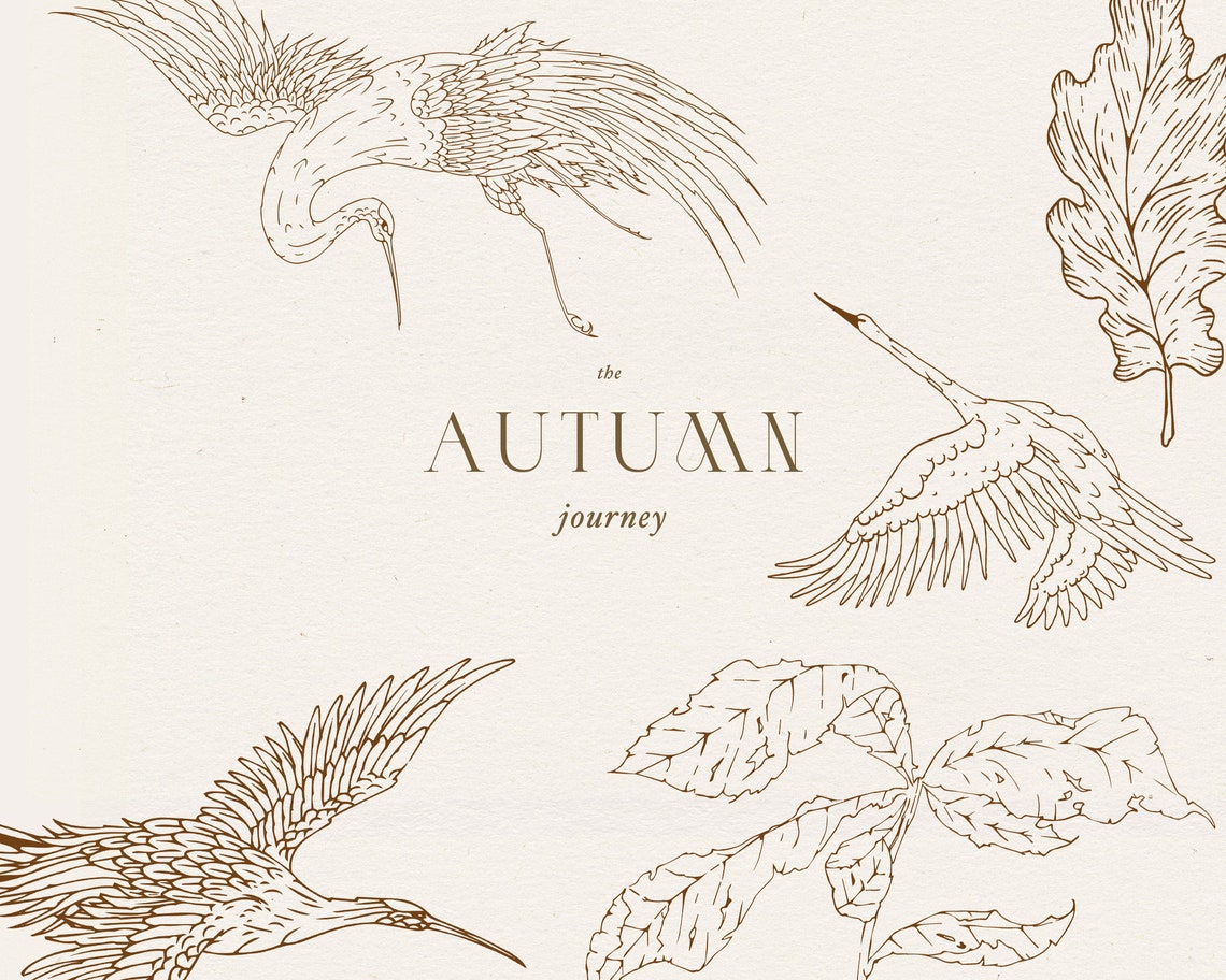 Autumn Botanical Line Art Illustration Autumn Clip Art Hand | Etsy