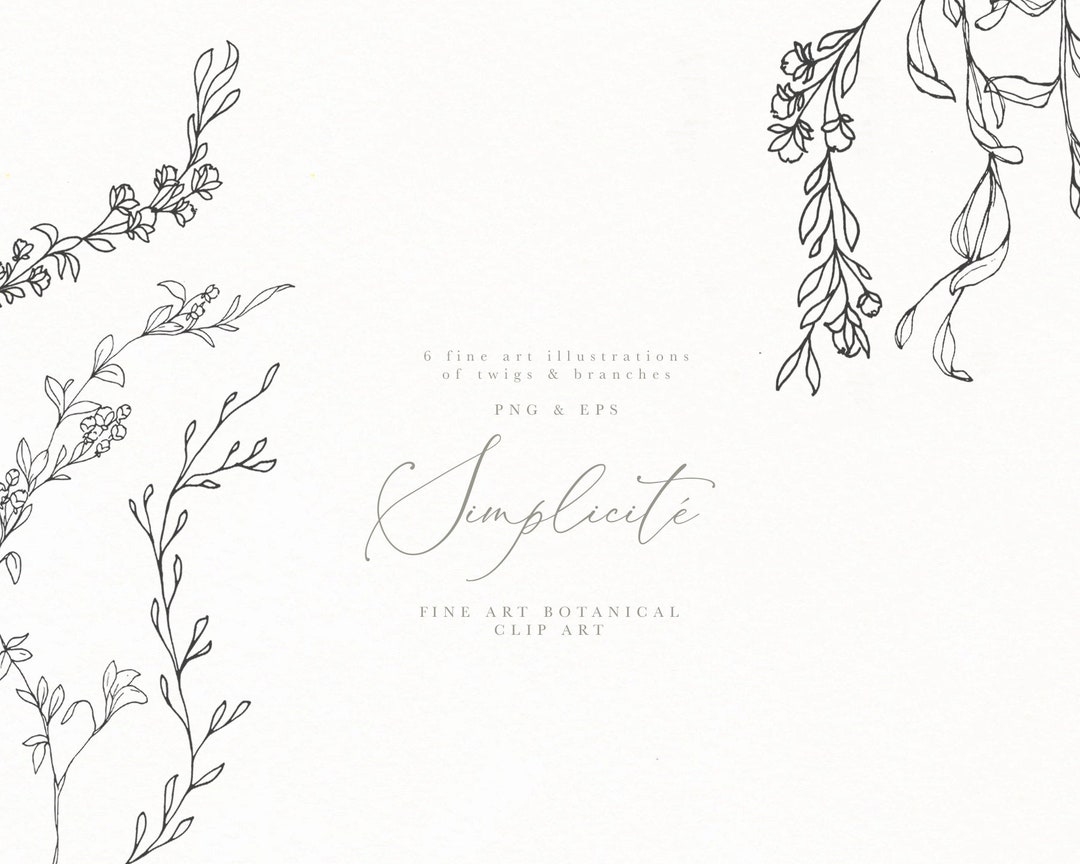 Hand Drawn Floral Line Clip Art, Floral Calligraphy Illustration, Hand ...