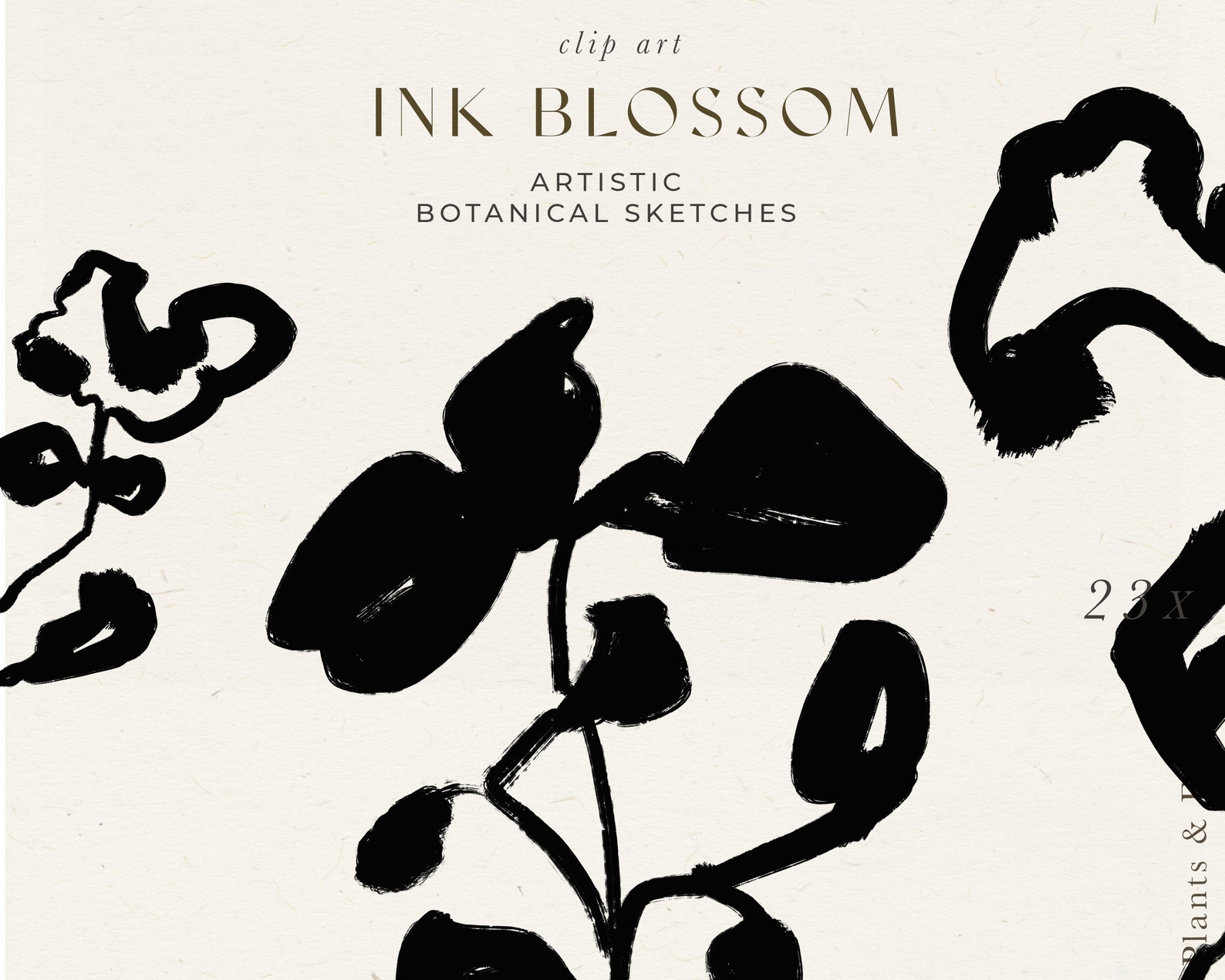 Abstract Flower Line Art, Minimalist Floral Clip Art, Abstract Twigs ...