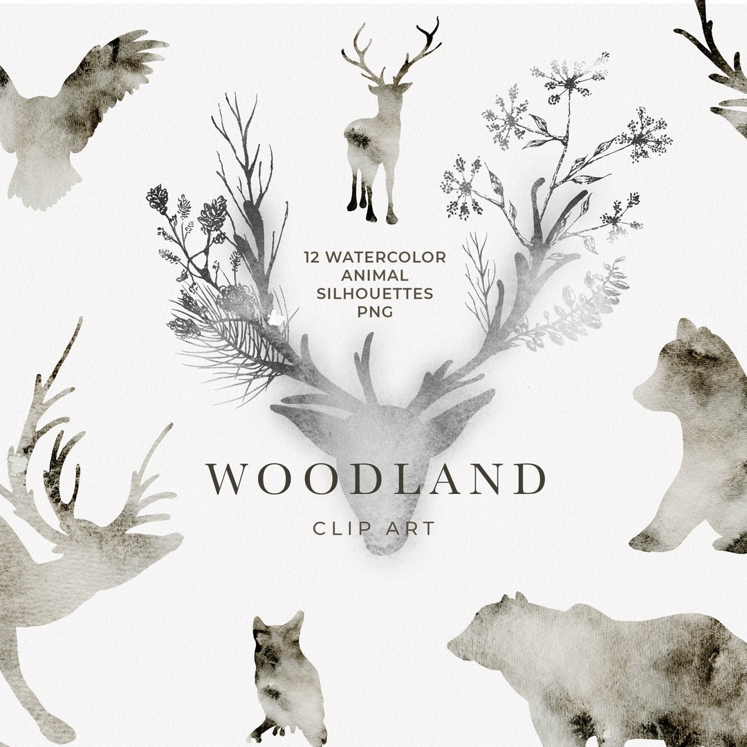 Watercolor Woodland Animal Clip Art Winter Woodland Clip Art Woodland ...